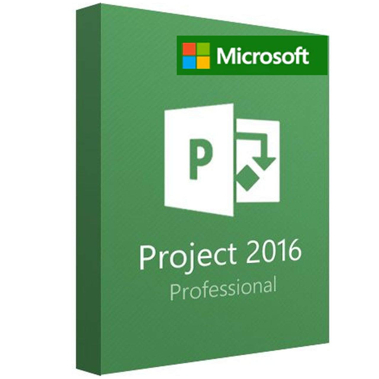 Microsoft Project 2016 Professional (PC) - Microsoft Key